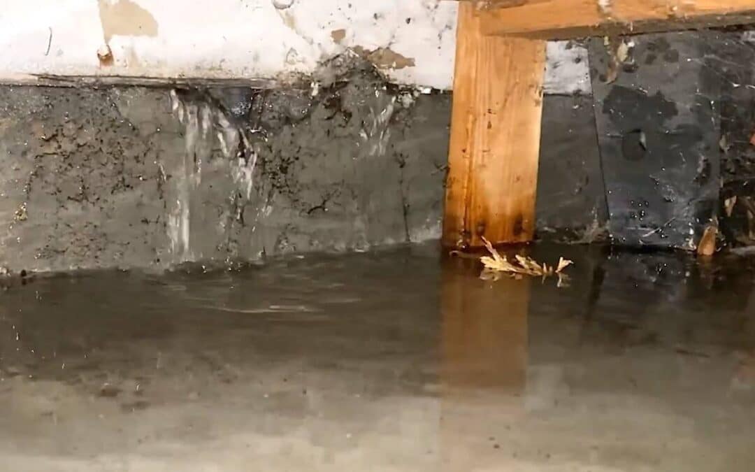 Battling Basement Flooding: Causes, Prevention, and Recovery Strategies ...